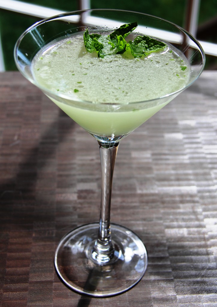 Summertime lemonade martini long - Sumptuous Living