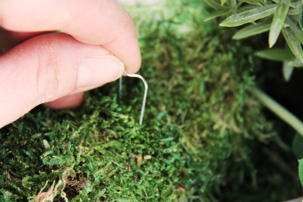 Easter Basket Floral Arrangement | Sumptuous Living